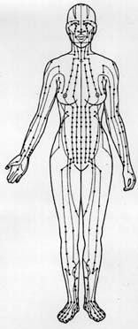 Channels or Meridians in Acupuncture - The Invisible Pathways of Qi